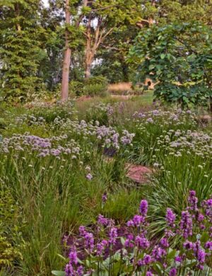 Eco Friendly Garden Design Ideas Celebrating Splendid Natural Beauty
