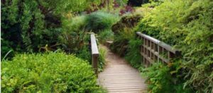 Eco Friendly Garden Design Ideas Celebrating Splendid Natural Beauty