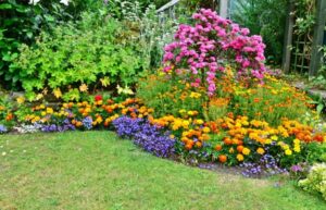 Eco Friendly Garden Design Ideas Celebrating Splendid Natural Beauty