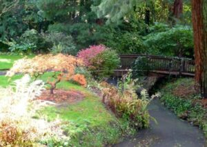 Eco Friendly Garden Design Ideas Celebrating Splendid Natural Beauty