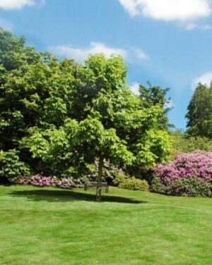 Eco Friendly Garden Design Ideas Celebrating Splendid Natural Beauty