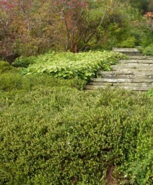 Eco Friendly Garden Design Ideas Celebrating Splendid Natural Beauty