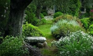 Eco Friendly Garden Design Ideas Celebrating Splendid Natural Beauty