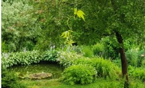 Eco Friendly Garden Design Ideas Celebrating Splendid Natural Beauty