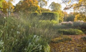 Eco Friendly Garden Design Ideas Celebrating Splendid Natural Beauty