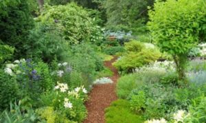 Eco Friendly Garden Design Ideas Celebrating Splendid Natural Beauty