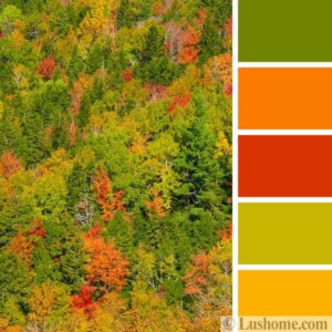 Warm Interior Decorating Ideas, Fall Color Schemes Inspired by Natural ...