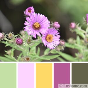 Warm Interior Decorating Ideas, Fall Color Schemes Inspired by Natural ...
