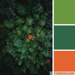 Warm Interior Decorating Ideas, Fall Color Schemes Inspired by Natural ...