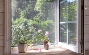 Fighting Dust Strategy, Home Staging Tips to Deal with Dust Sources