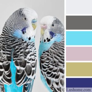 50 Natural Color Schemes Inspired by Birds Feathers