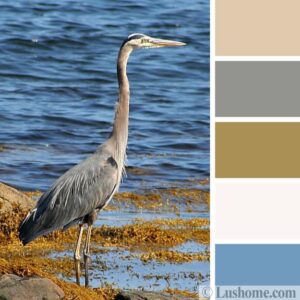 50 Natural Color Schemes Inspired by Birds Feathers