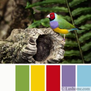 50 Natural Color Schemes Inspired by Birds Feathers