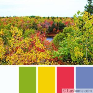 50 Fall Decorating Color Schemes to Reflect Seasonal Vibes, Warm Color ...