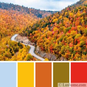 50 Fall Decorating Color Schemes to Reflect Seasonal Vibes, Warm Color ...