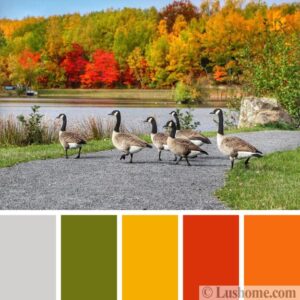 50 Fall Decorating Color Schemes to Reflect Seasonal Vibes, Warm Color ...
