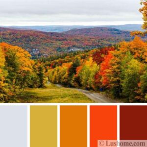 50 Fall Decorating Color Schemes to Reflect Seasonal Vibes, Warm Color ...