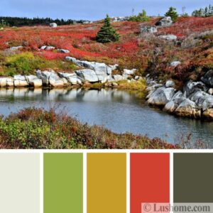 50 Fall Decorating Color Schemes to Reflect Seasonal Vibes, Warm Color ...