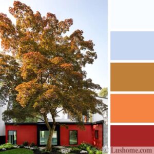 50 Fall Decorating Color Schemes to Reflect Seasonal Vibes, Warm Color ...