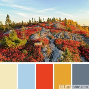50 Fall Decorating Color Schemes to Reflect Seasonal Vibes, Warm Color ...
