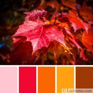 50 Fall Decorating Color Schemes to Reflect Seasonal Vibes, Warm Color ...