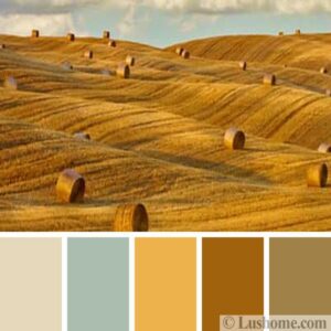 50 Fall Decorating Color Schemes to Reflect Seasonal Vibes, Warm Color ...