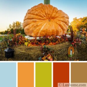 50 Fall Decorating Color Schemes to Reflect Seasonal Vibes, Warm Color ...