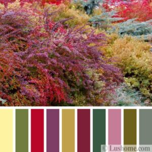 Warm Interior Colors, Room Decorating Inspired by Autumn Leaves