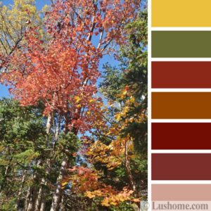 Warm Interior Colors, Room Decorating Inspired by Autumn Leaves