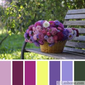 Harvest Color Palette Inspired by Fall Leaves, Autumn Flowers, Seasonal ...