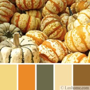 Harvest Color Palette Inspired by Fall Leaves, Autumn Flowers, Seasonal ...