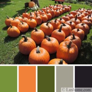 Harvest Color Palette Inspired by Fall Leaves, Autumn Flowers, Seasonal ...