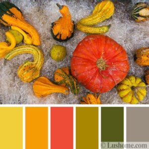 Harvest Color Palette Inspired by Fall Leaves, Autumn Flowers, Seasonal ...
