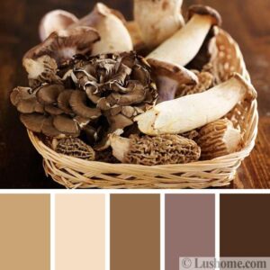 Harvest Color Palette Inspired by Fall Leaves, Autumn Flowers, Seasonal ...