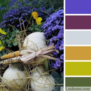 Harvest Color Palette Inspired by Fall Leaves, Autumn Flowers, Seasonal ...
