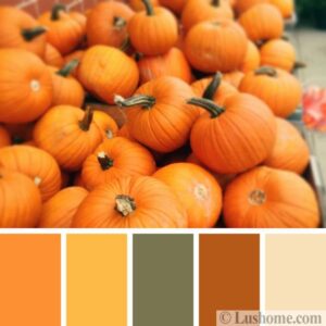 Harvest Color Palette Inspired by Fall Leaves, Autumn Flowers, Seasonal ...