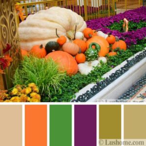 Harvest Color Palette Inspired by Fall Leaves, Autumn Flowers, Seasonal ...