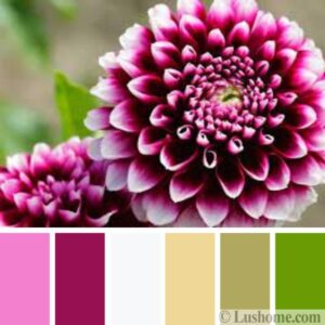 Harvest Color Palette Inspired by Fall Leaves, Autumn Flowers, Seasonal ...