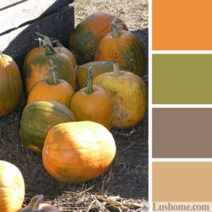 Harvest Color Palette Inspired by Fall Leaves, Autumn Flowers, Seasonal ...