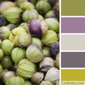 Harvest Color Palette Inspired by Fall Leaves, Autumn Flowers, Seasonal ...