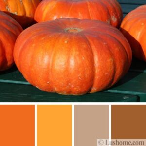 Harvest Color Palette Inspired by Fall Leaves, Autumn Flowers, Seasonal ...