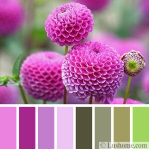 Harvest Color Palette Inspired by Fall Leaves, Autumn Flowers, Seasonal ...