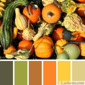 Harvest Color Palette Inspired by Fall Leaves, Autumn Flowers, Seasonal ...