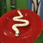 50 Creative Food Decoration Ideas, Snake Inspired Edible Decorations ...