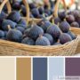 25 Quiet Color Schemes and Bright Accents for Soft Design and Decorating