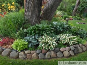 Perfect Tree Rings, 50 Bright Landscaping Ideas for Your Grounds
