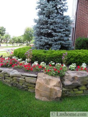 Perfect Tree Rings, 50 Bright Landscaping Ideas for Your Grounds