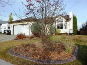 Perfect Tree Rings, 50 Bright Landscaping Ideas for Your Grounds