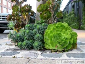 Perfect Tree Rings, 50 Bright Landscaping Ideas for Your Grounds