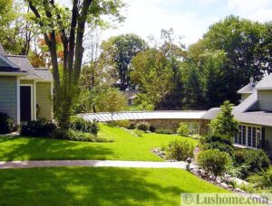 Perfect Tree Rings, 50 Bright Landscaping Ideas for Your Grounds